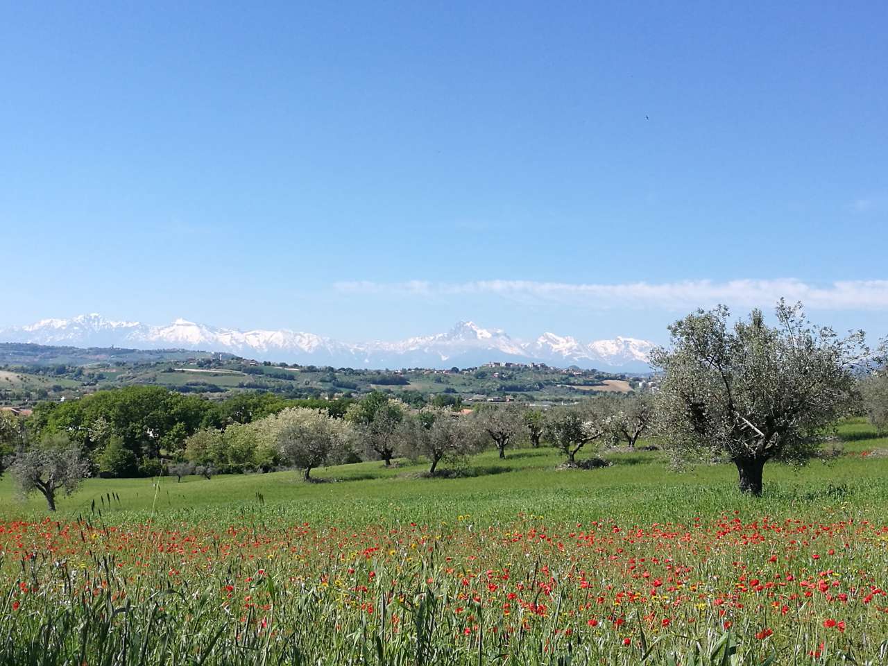 Furnished 3 bedroom Villa for sale in Nereto, Abruzzo